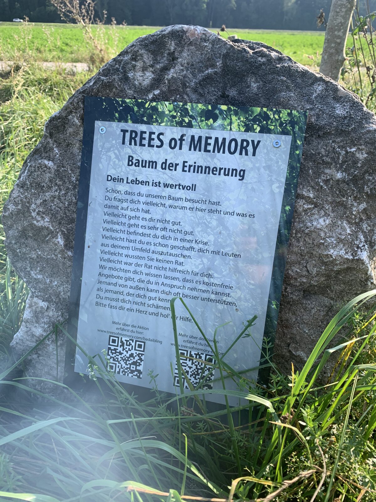 Baum der Erinnerung / Tree of memory – Mut und Courage e.V.