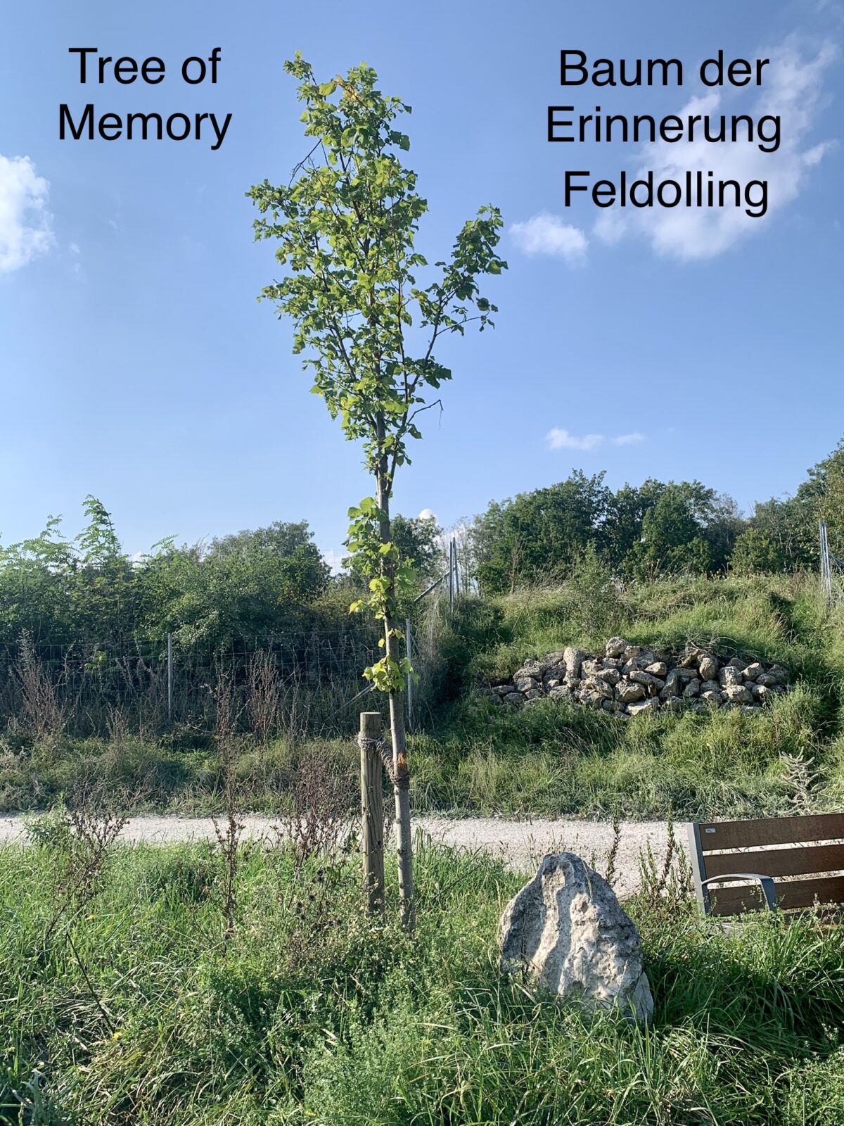 Baum der Erinnerung / Tree of memory – Mut und Courage e.V.