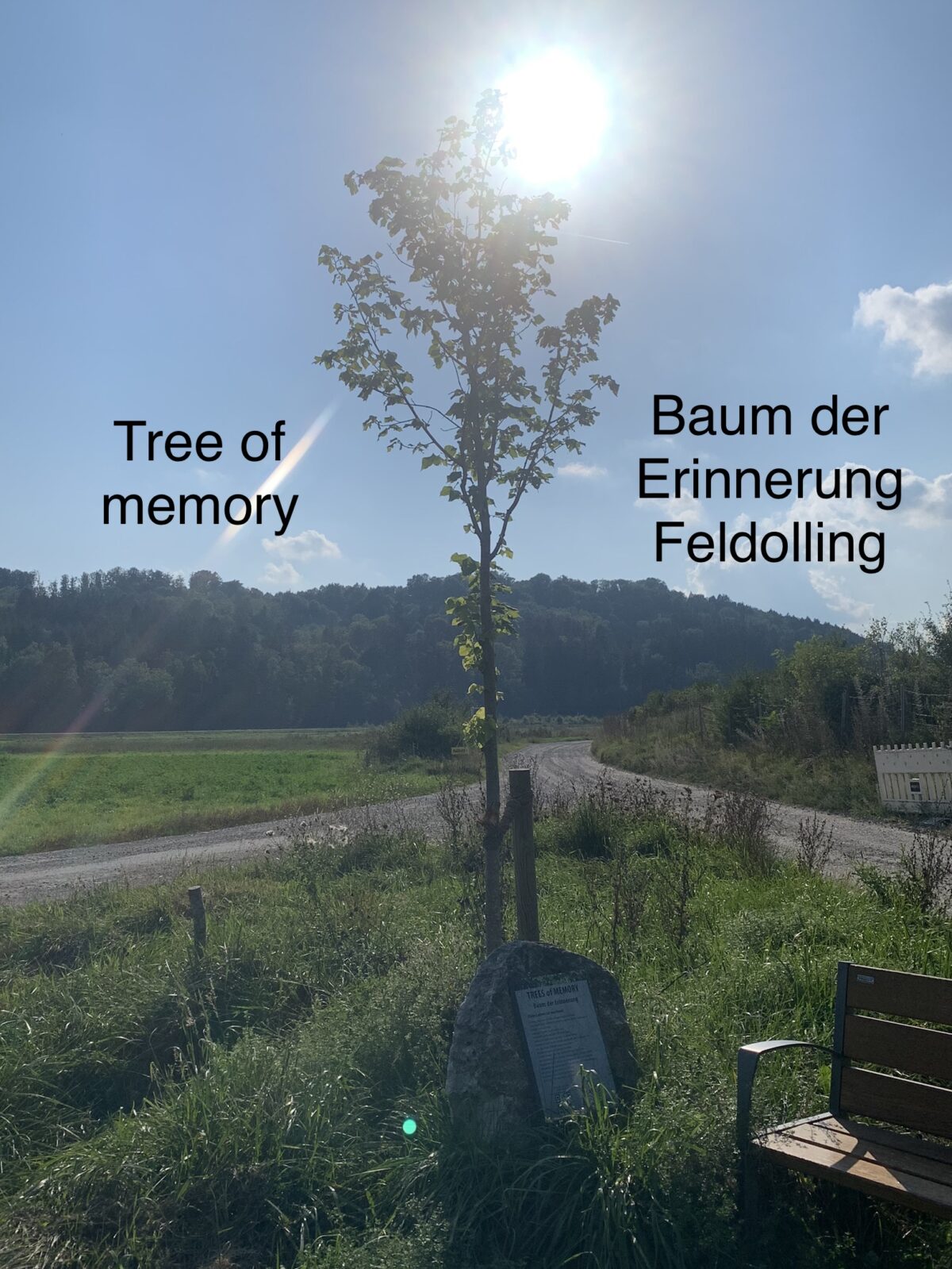 Baum der Erinnerung / Tree of memory – Mut und Courage e.V.